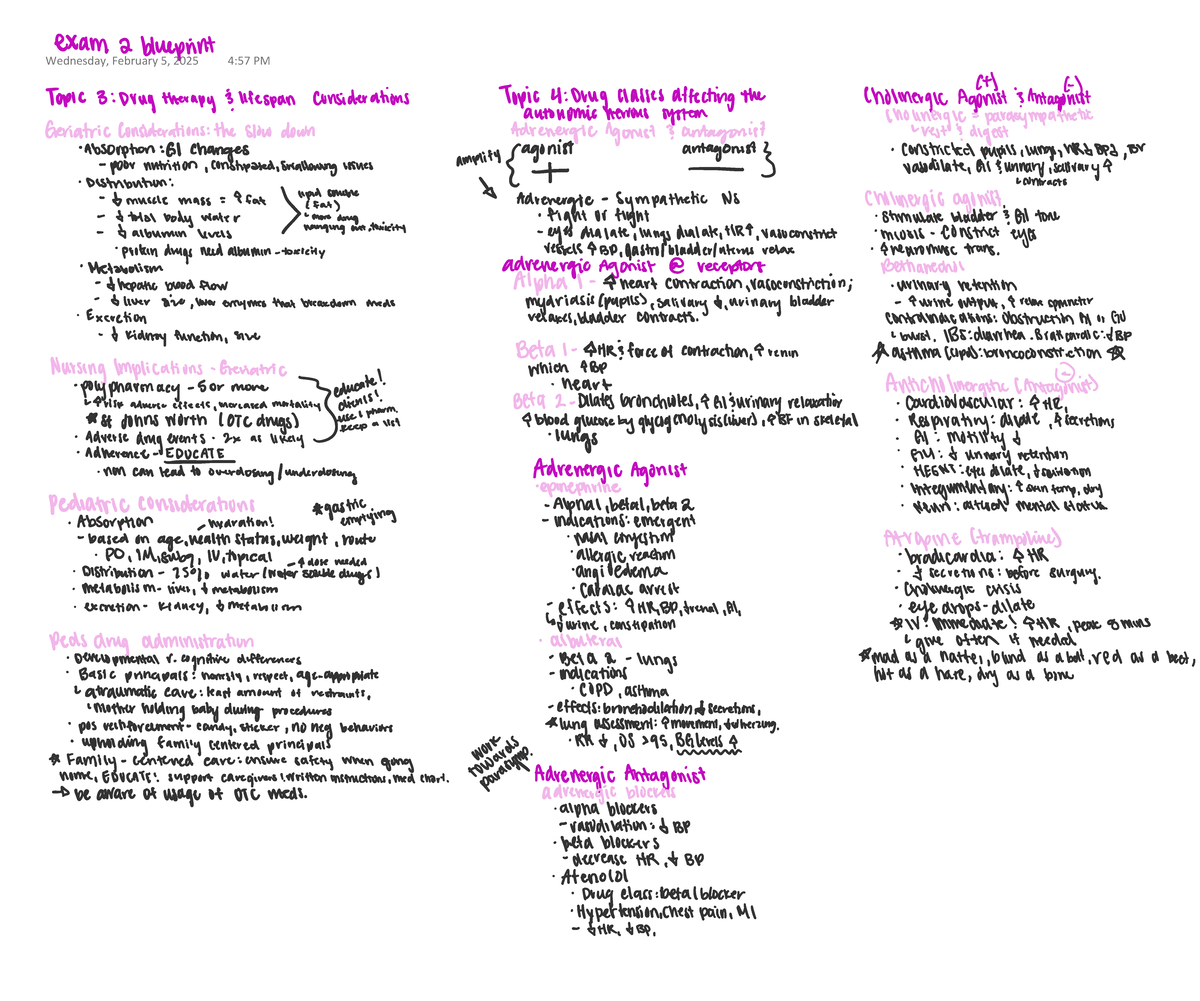 Exam 2 Blueprint: Drug Therapy & Autonomic System Considerations - Studocu