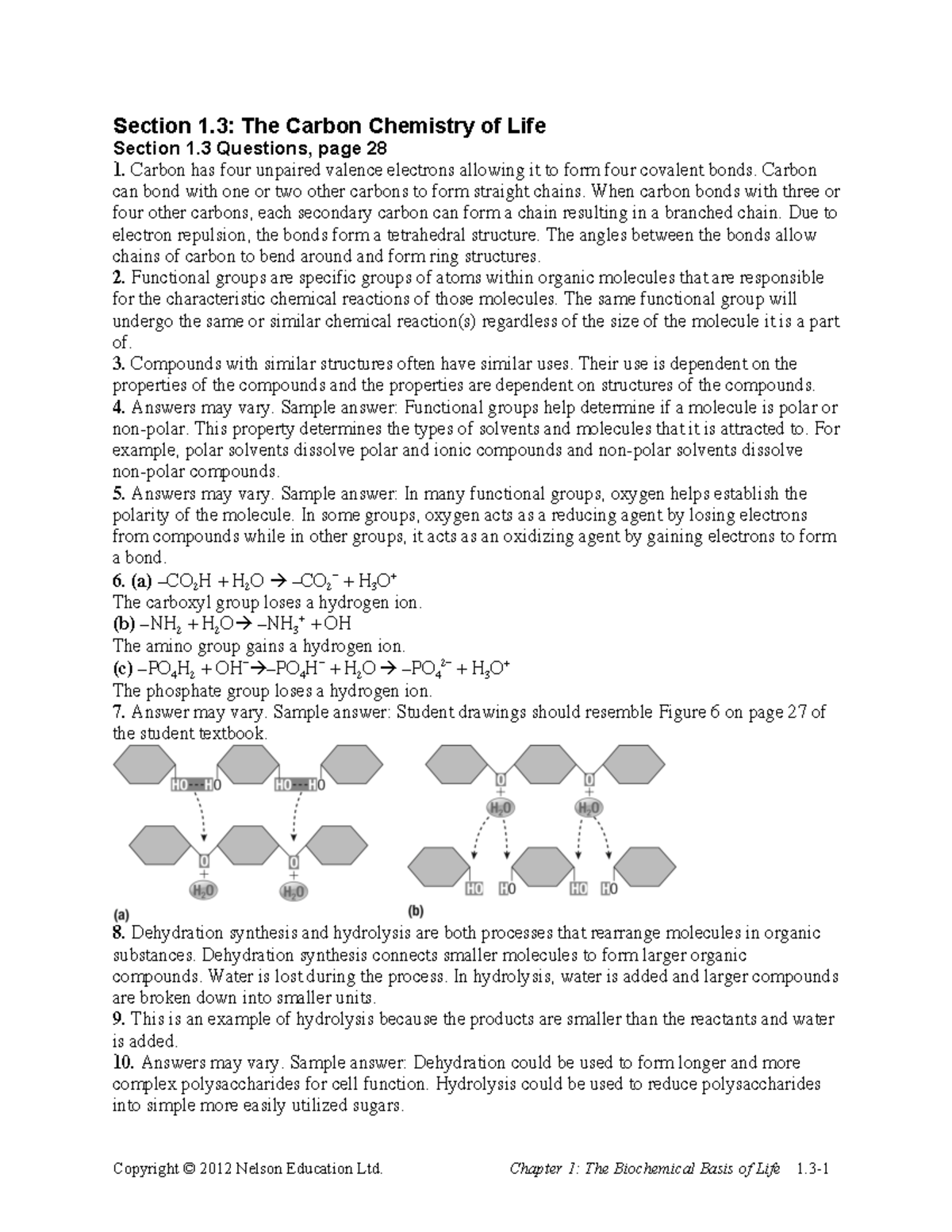 Answer Key for Bio 12U: The Carbon Chemistry of Life (Chapter 1.3 ...