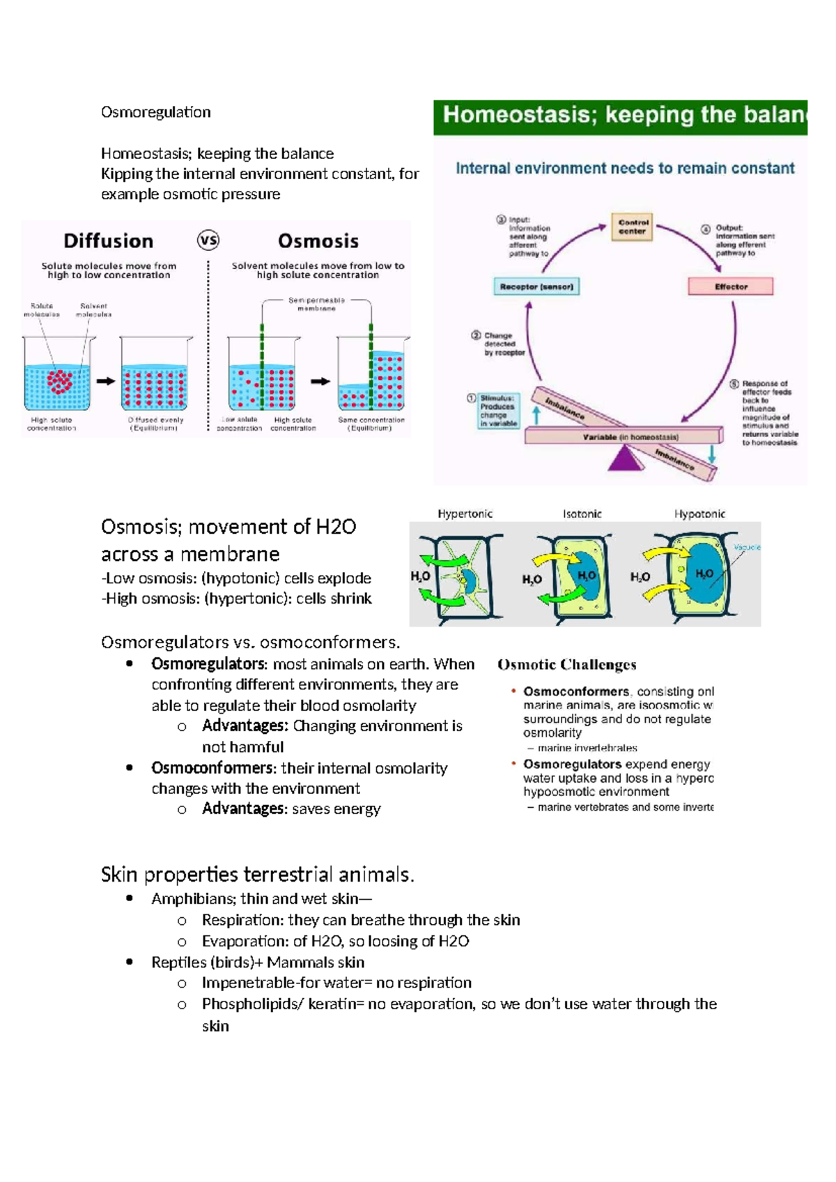 L8 Osmoregulation: Understanding Water and Ion Balance in Animals ...