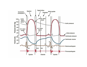 Gen Phy Lec 1 - Introduction to Gen Phy - Introduction to General ...