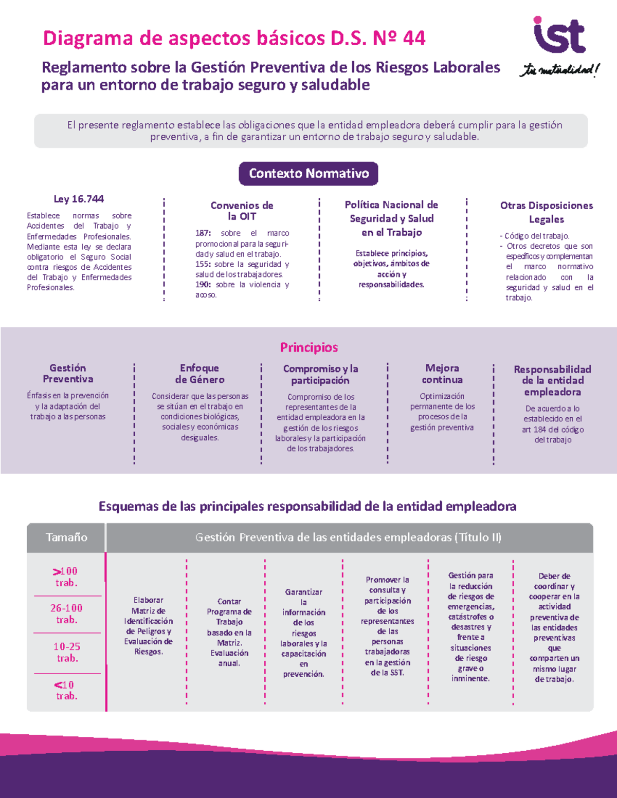 Diagrama de aspectos básicos del DS 44 - Reglamento sobre la Gestión Preventiva de los Riesgos ...