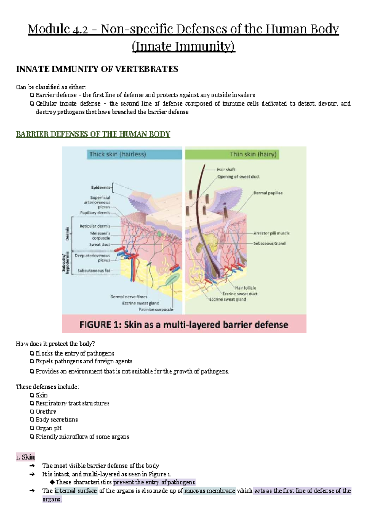 BIO 4 - Innate Immunity Defenses of the Human Body - Studocu