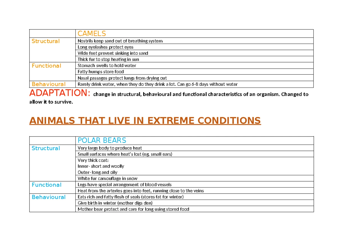 Natuurwetenskappe GRAAD 8: Fotosintese Lesplan & Toets vir Stysel - Studocu