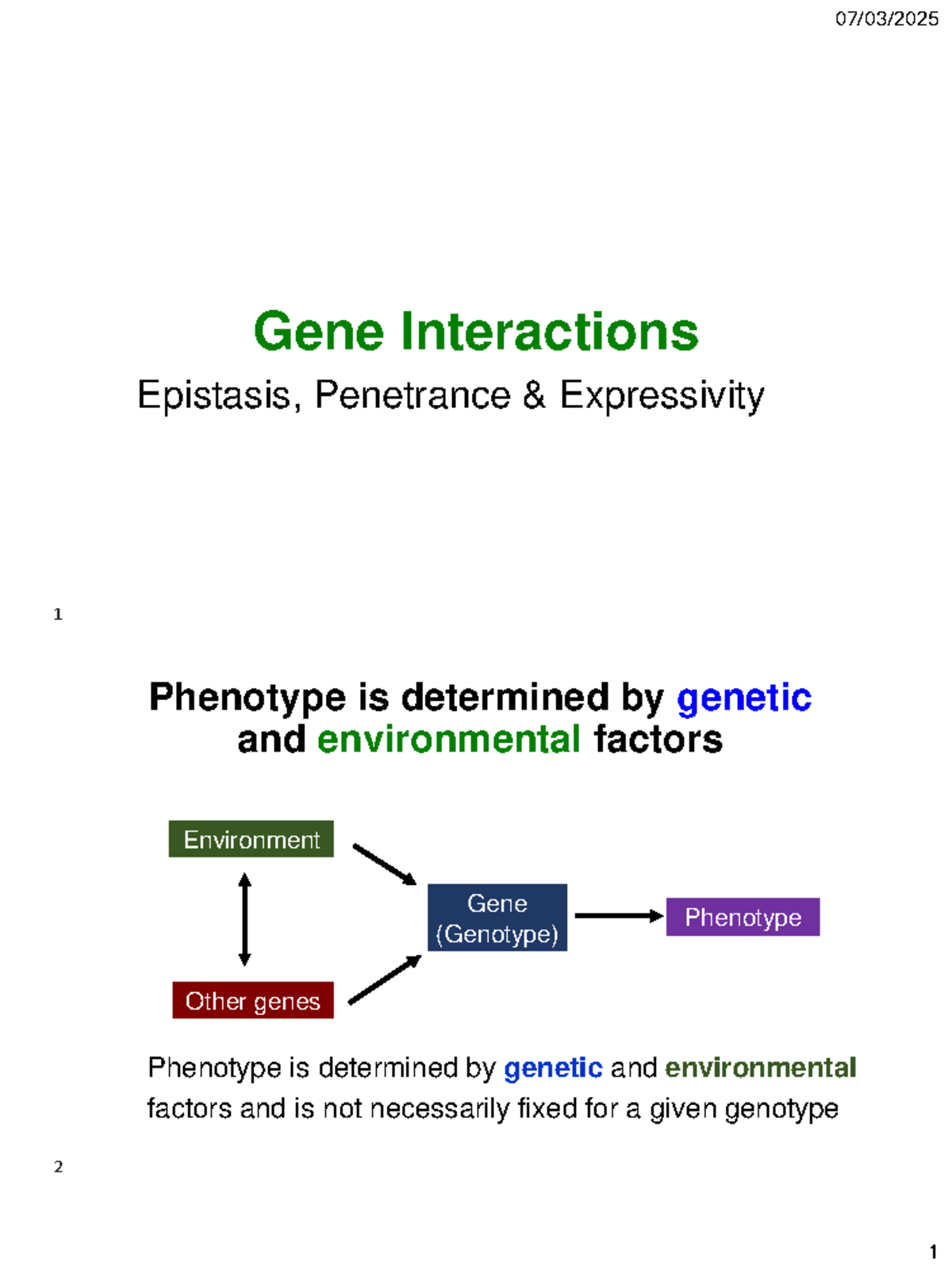 BIO212 - Lec06: Gene Interactions, Epistasis, Penetrance & Expressivity ...