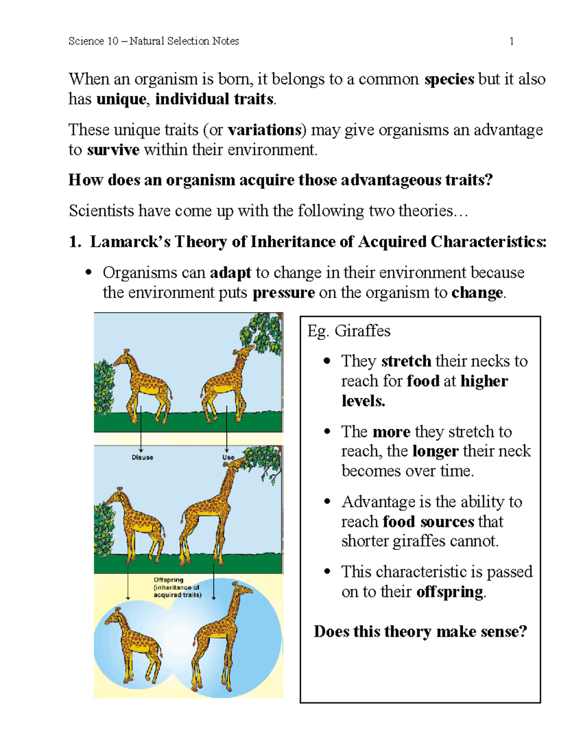 Biology 10 - Natural Selection & Lamarck's Theory Notes - Studocu