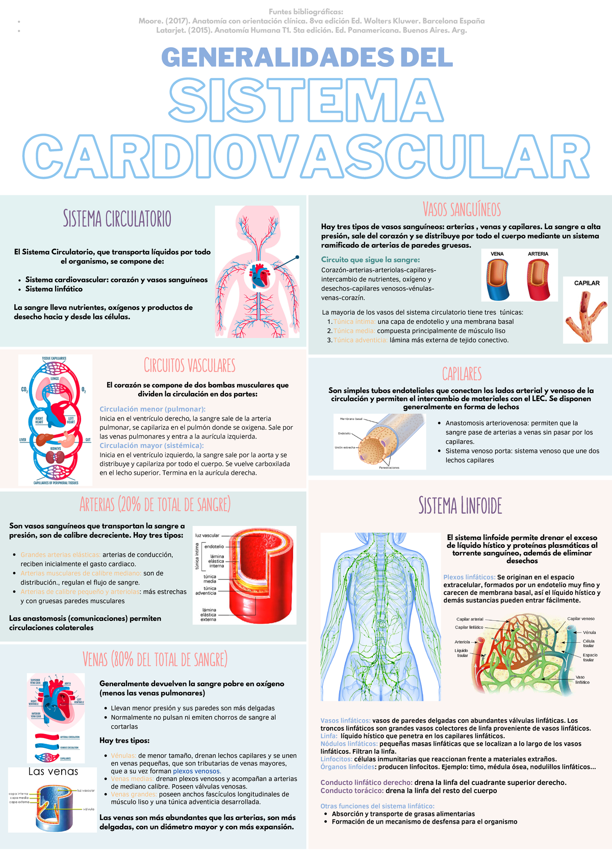 Generalidades Del Sistema Cardiovascular