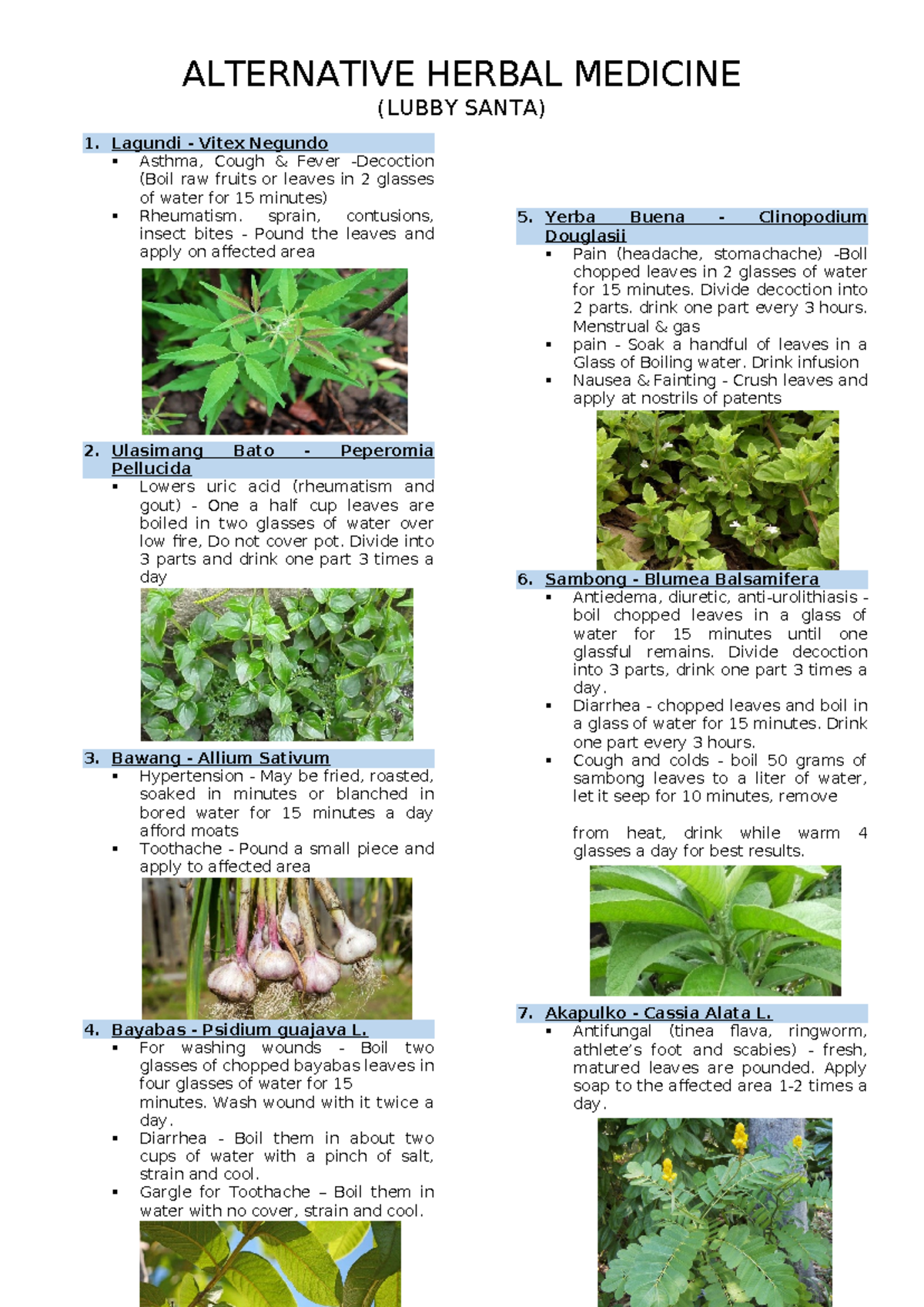 Herbal Medicine Applications: Natural Remedies for Common Ailments ...