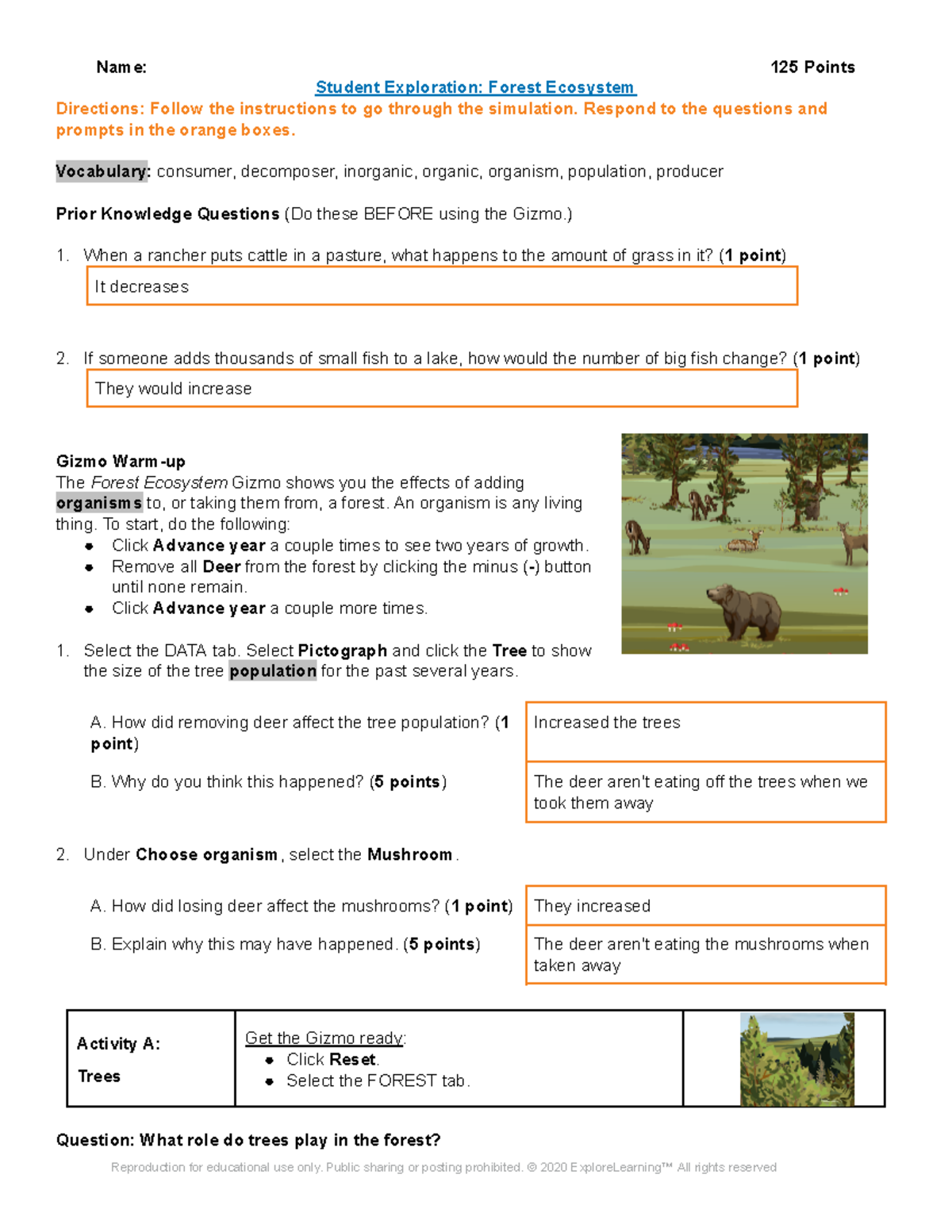Forest Ecosystem Exploration - Student Activity Guide - Studocu