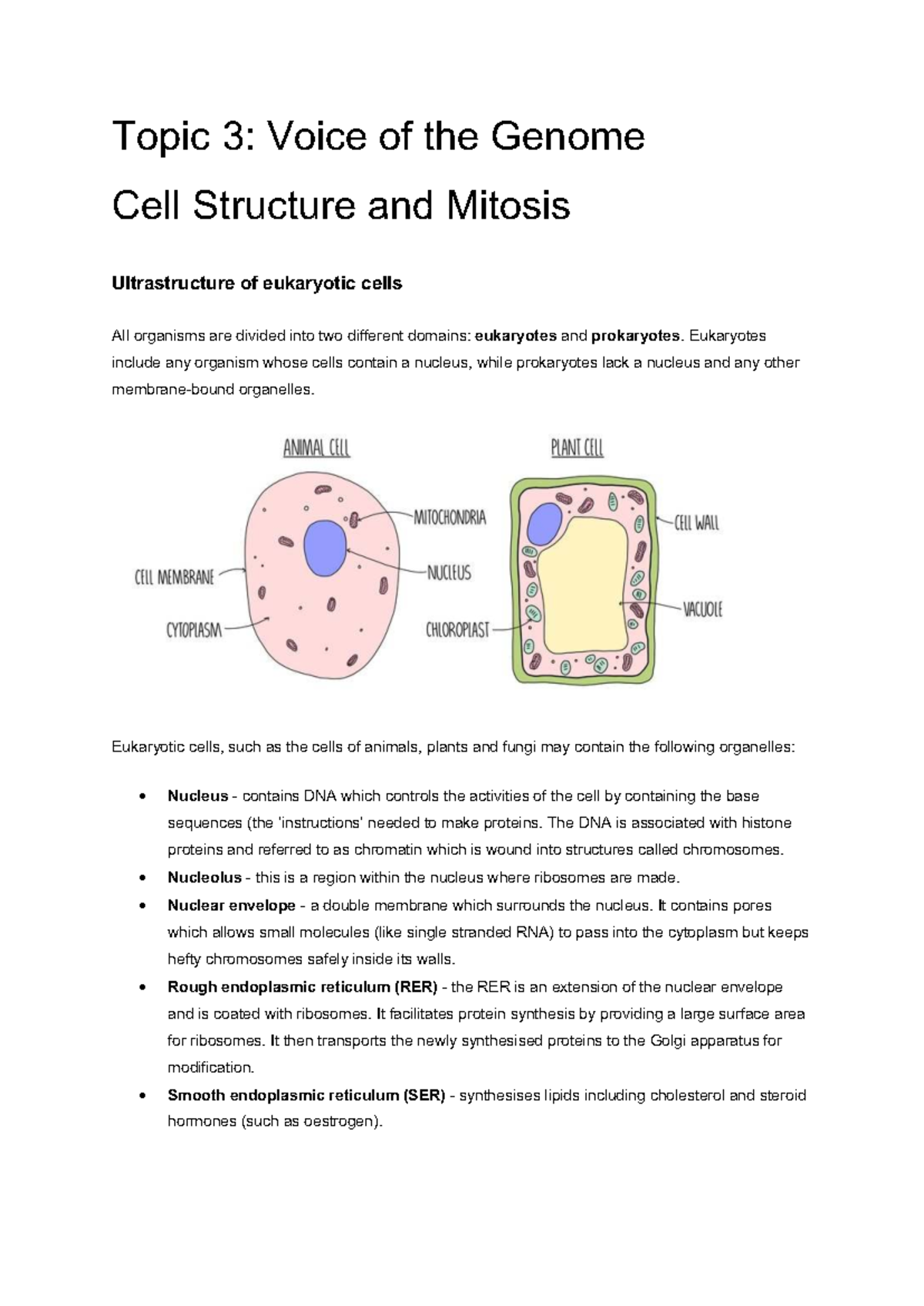 Biology A Level Notes: Cell Structure, Mitosis & Meiosis Insights - Studocu