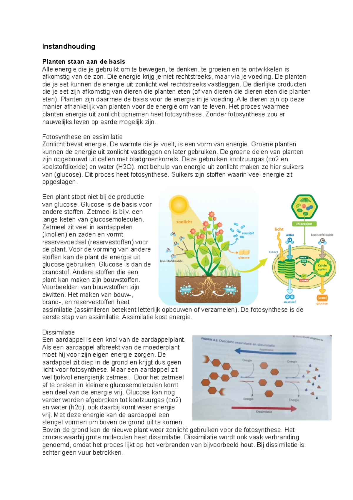 Voortplanting - Voortplanting Voortplanting algemeen Door zich voort te planten zorgen ...