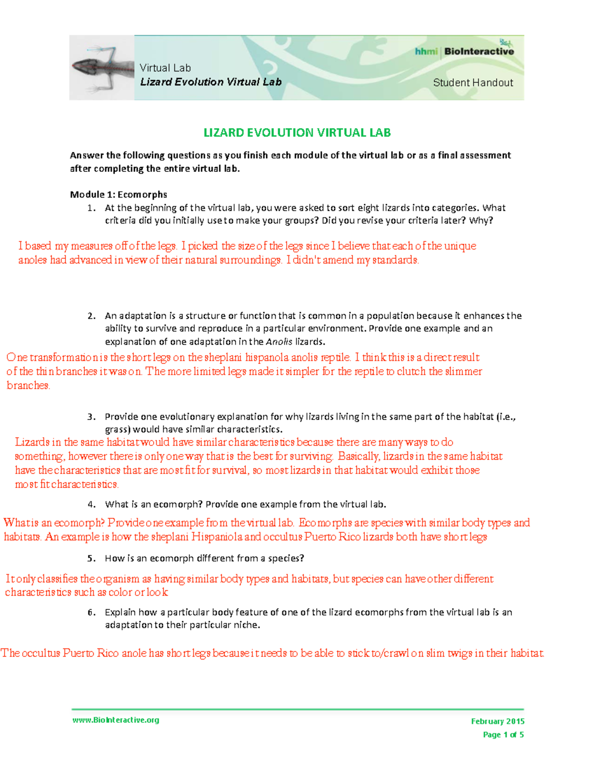 Lizard Evolution Virtual Lab Guide - BioInteractive 2021 - Studocu