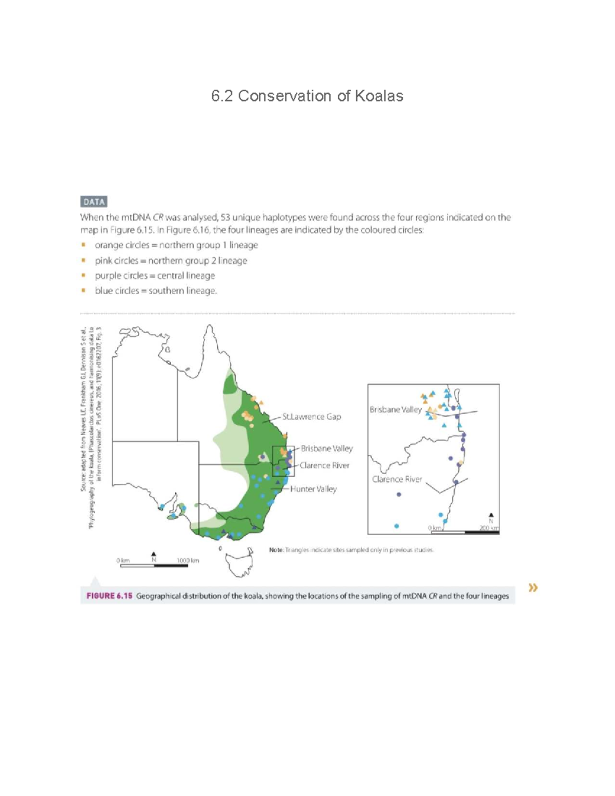 Biology - Investigation 6.2 - Conservation of Koalas - 6 Conservation ...