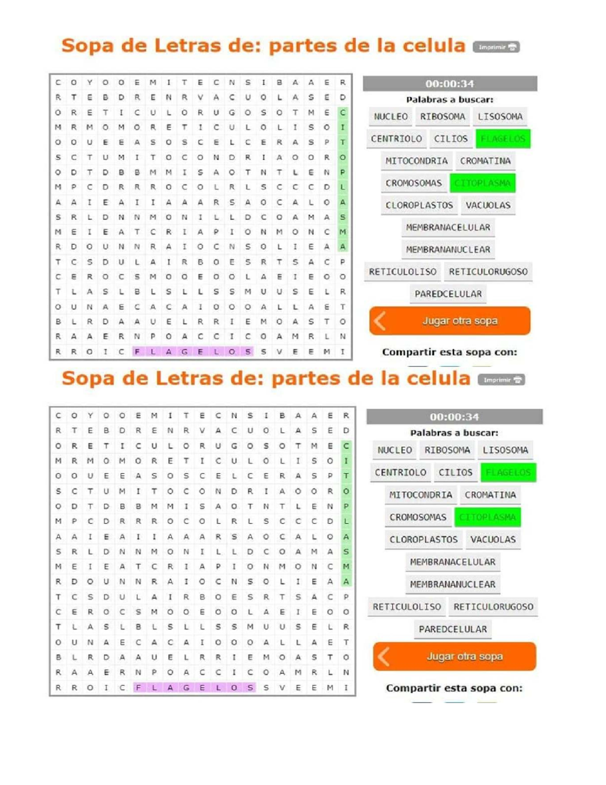 Celula - Sopa de letras - Sopa de Letras de: partes de la celula ...