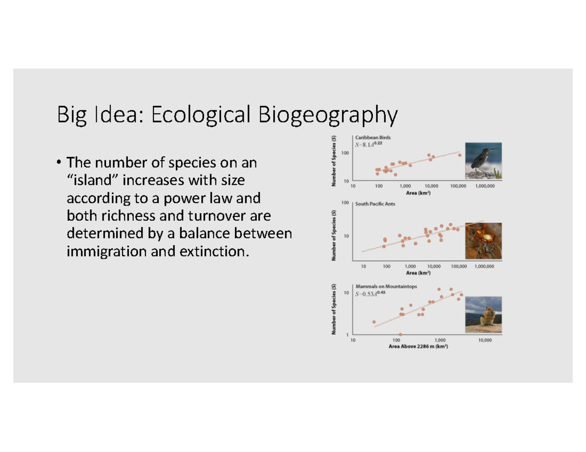 Equilibrium Theory of Biogeography: Species Richness & Immigration ...