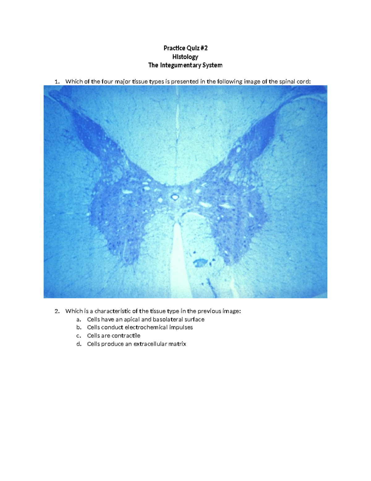 Practice Quiz: Histology of the Integumentary System (02) - Studocu