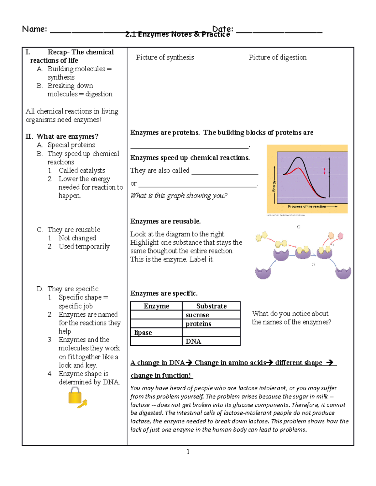 2.1 - Enzymes: Key Concepts & Practice Notes - Studocu