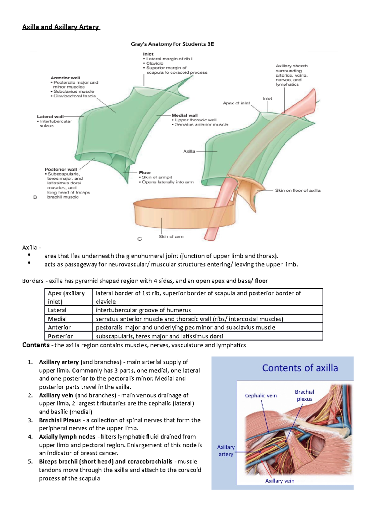 Axilla and Axillary artery - Axilla and Axillary Artery Axilla - area ...