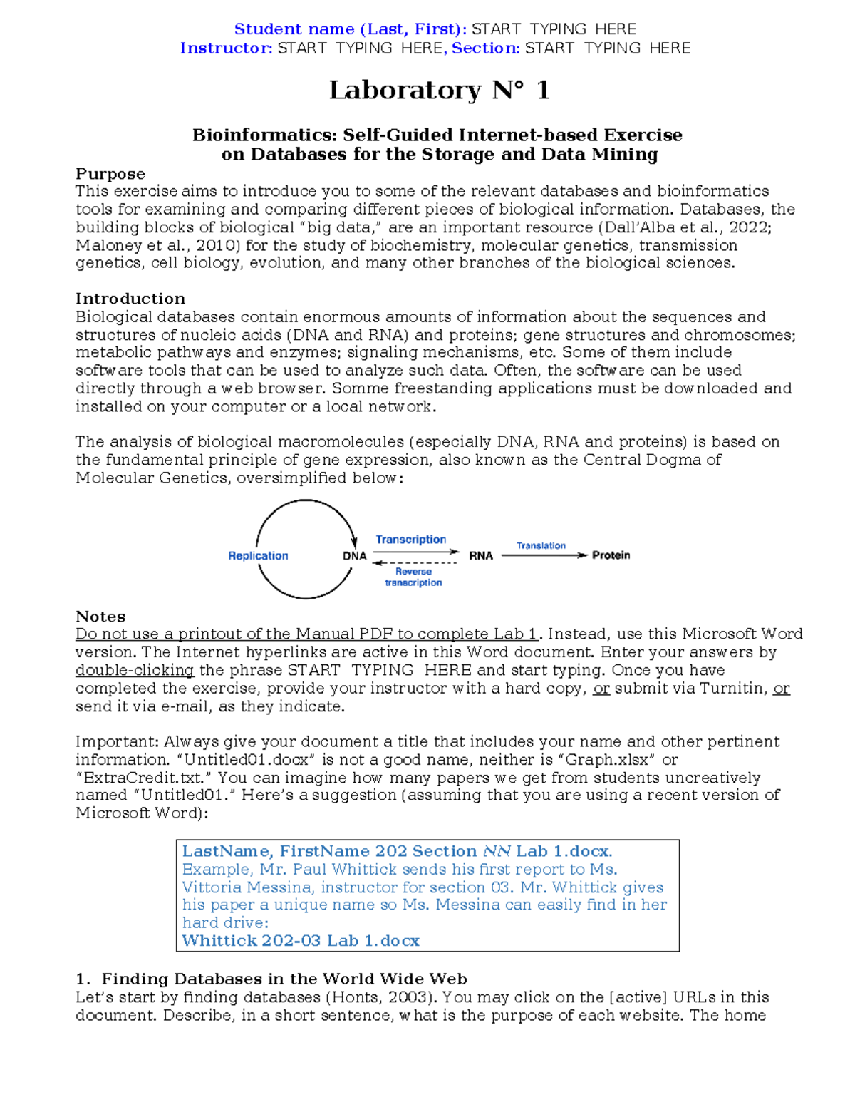 120-202 FA24 Laboratory 1 - Working File - Laboratory N° 1 ...