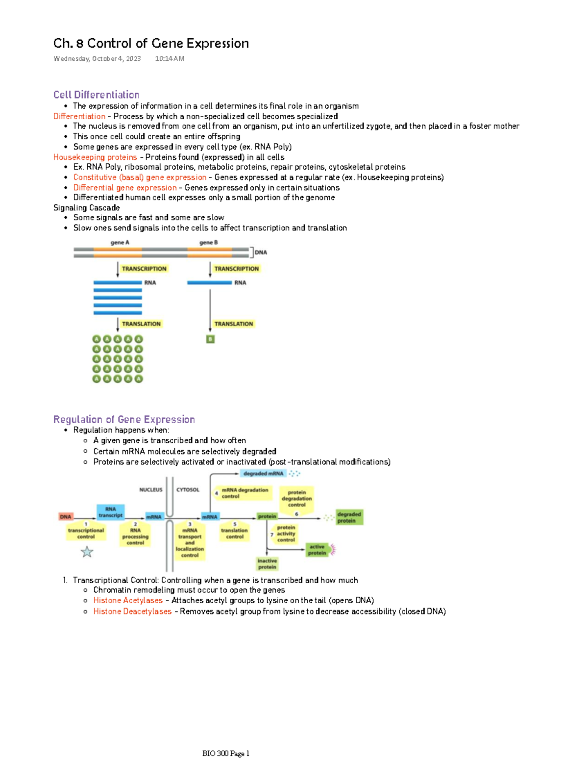 BIO 300 Lecture Notes: Ch. 8 Control of Gene Expression - Studocu