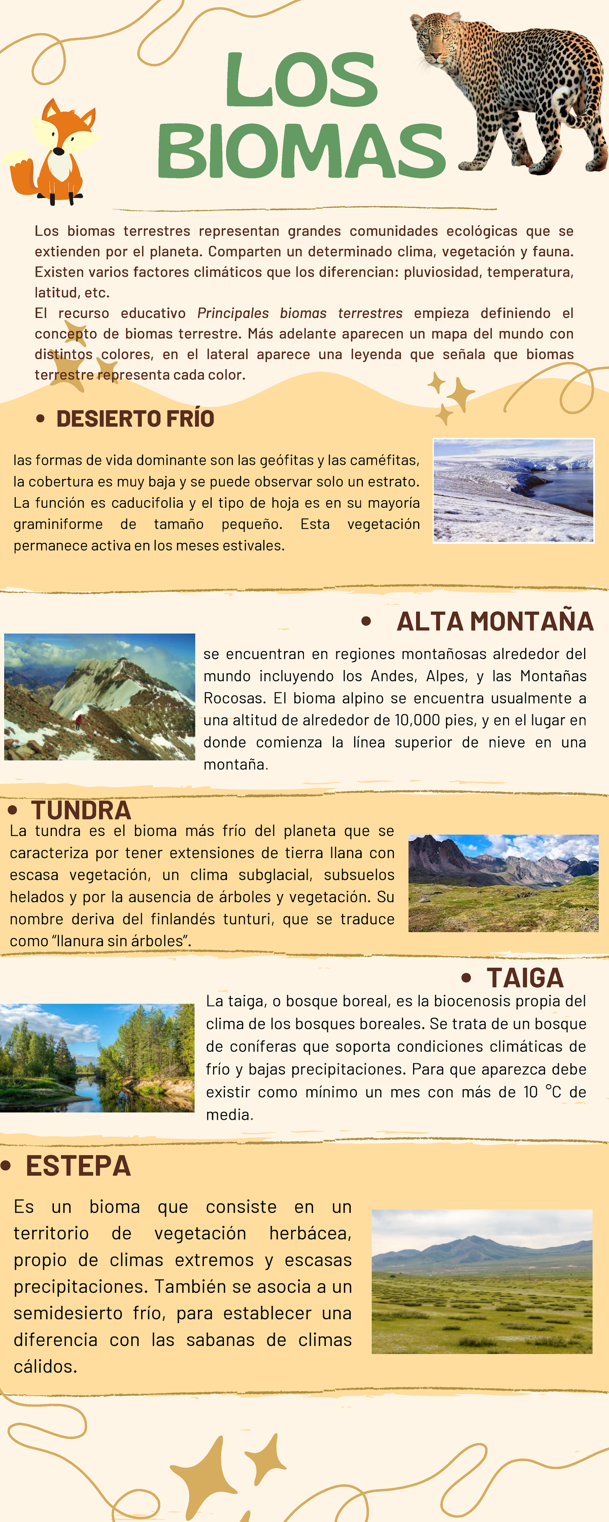 Infografía de Los Biomas - Es un bioma que consiste en un territorio de ...