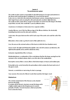 Buccal region - Anatomy - Buccal region It is a perioral region ...