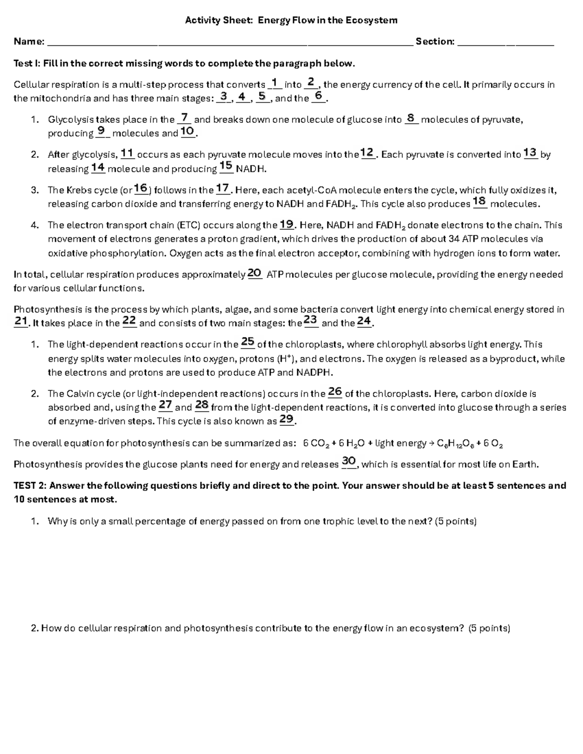 2025-Activity Sheet: Energy Flow in Ecosystems - Test I & II - Studocu