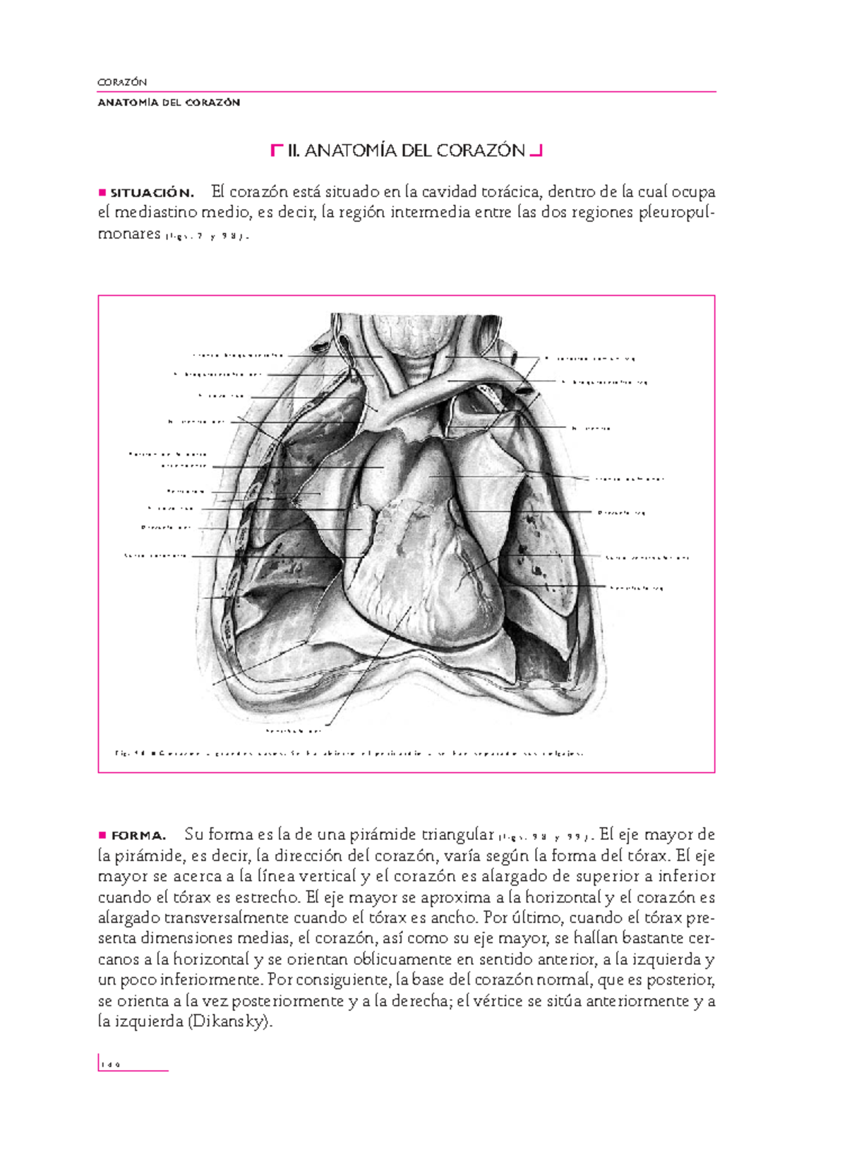 Anatomía del Corazón: Configuración Externa - ROUVIERE II 17:27 - Studocu
