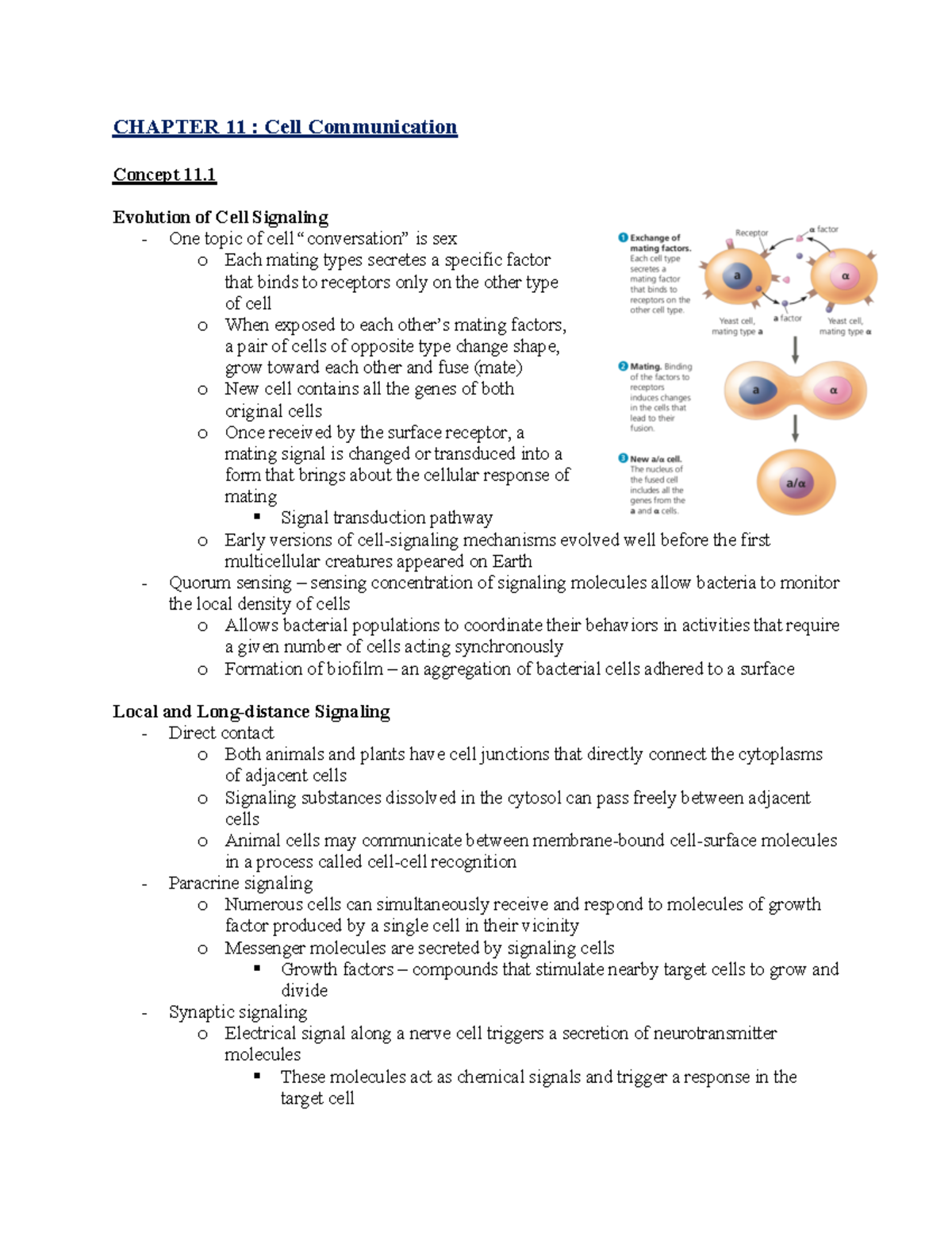 Exam 3 Notes - Dr. Raut - CHAPTER 11 : Cell Communication Concept 11 ...