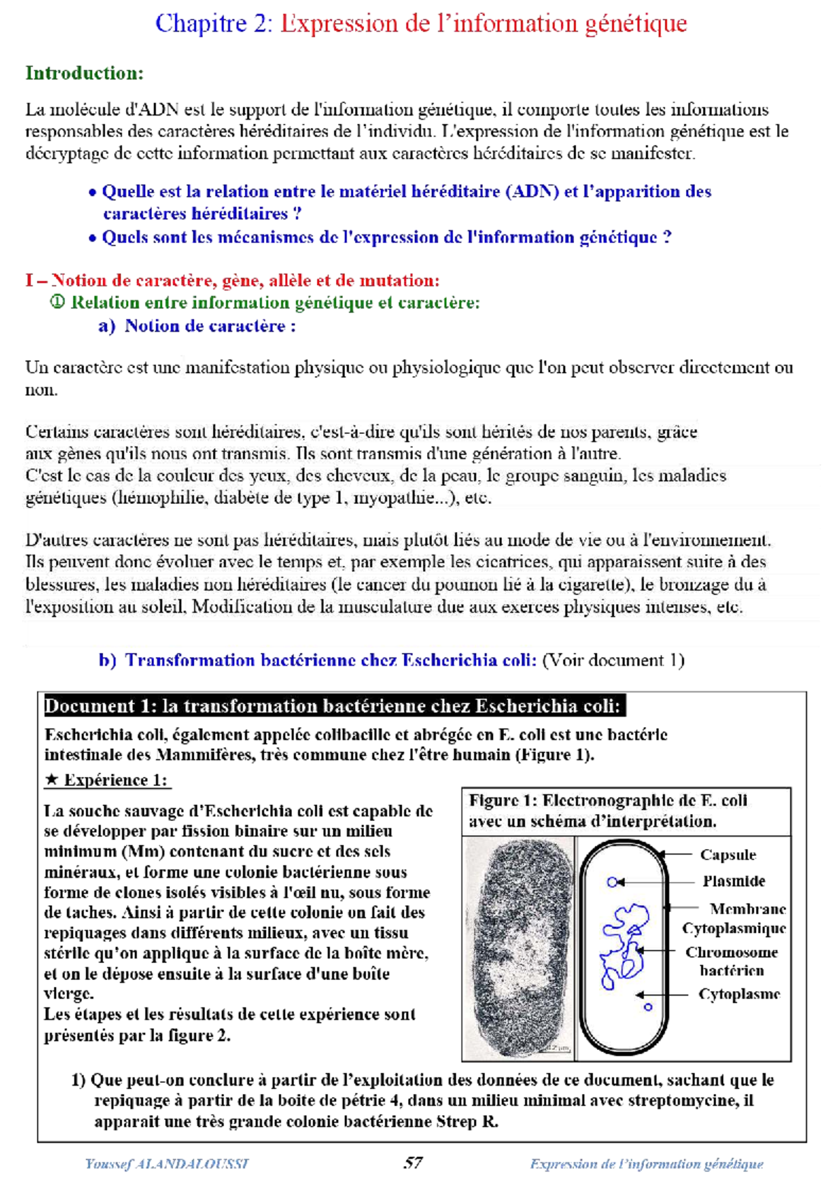 Chapitre 2: Introduction à l'Expression Génétique et Mécanismes ...