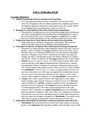 Translation Pogil - Gene Expression—Translation 1 Gene Expression ...