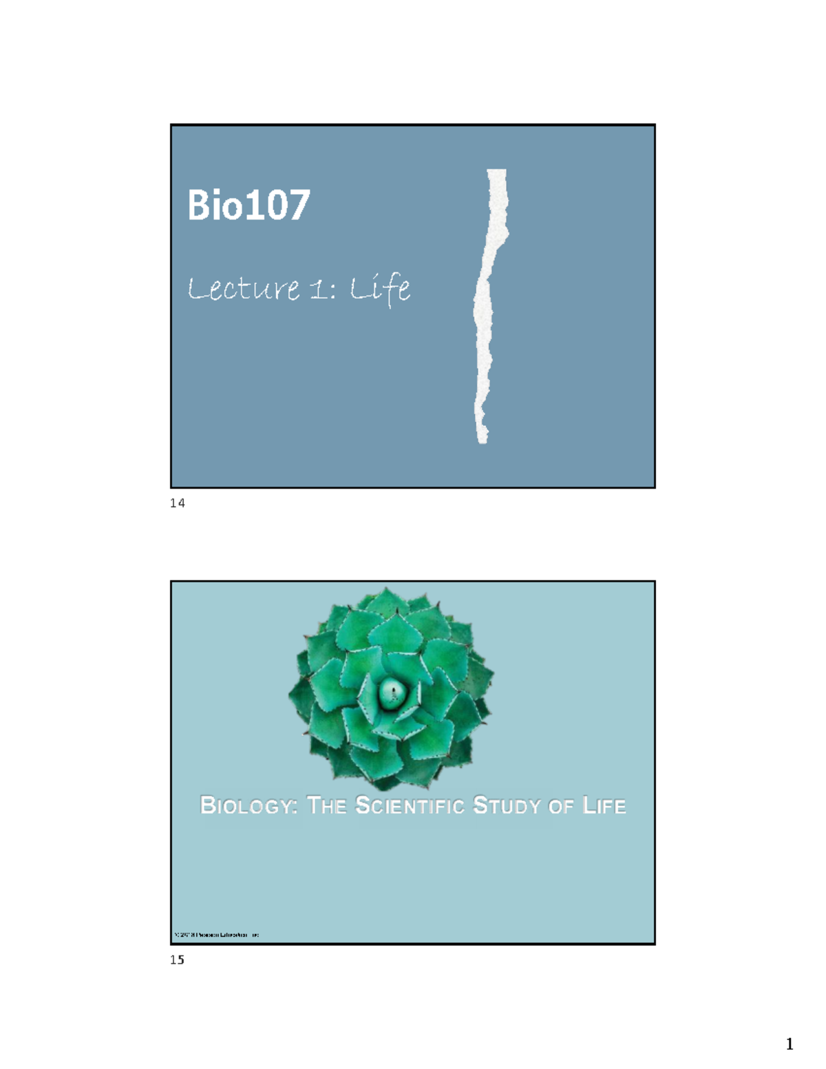 BIO107 Lecture 1: Introduction to Biology and Life Concepts - Studocu