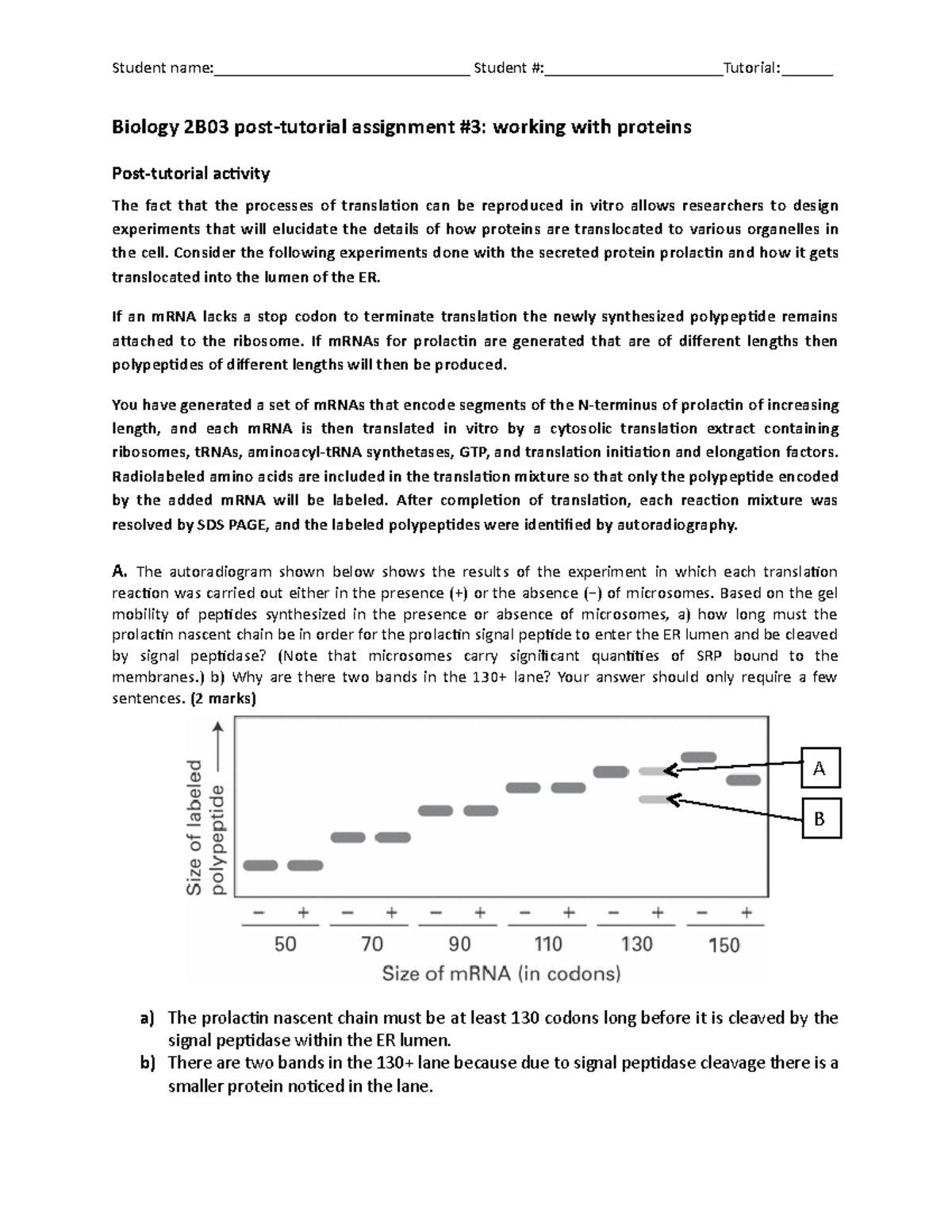 F21 Bio 2B03 post-tutorial assignment 3 working with proteins - Biology ...