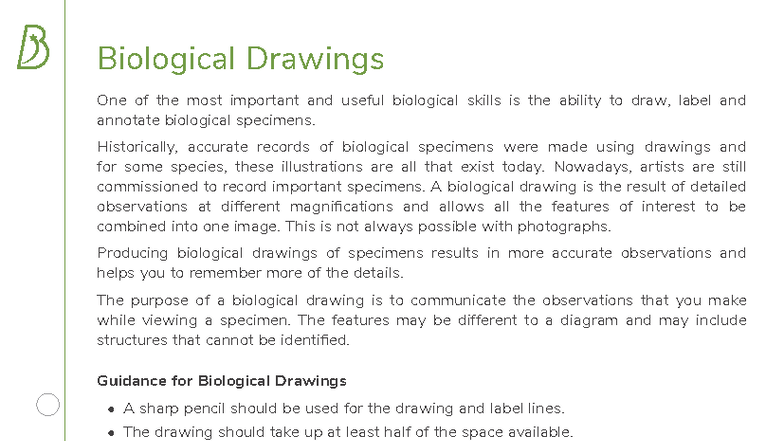 Guidance for Biological Drawings (BIO 101) - Studocu