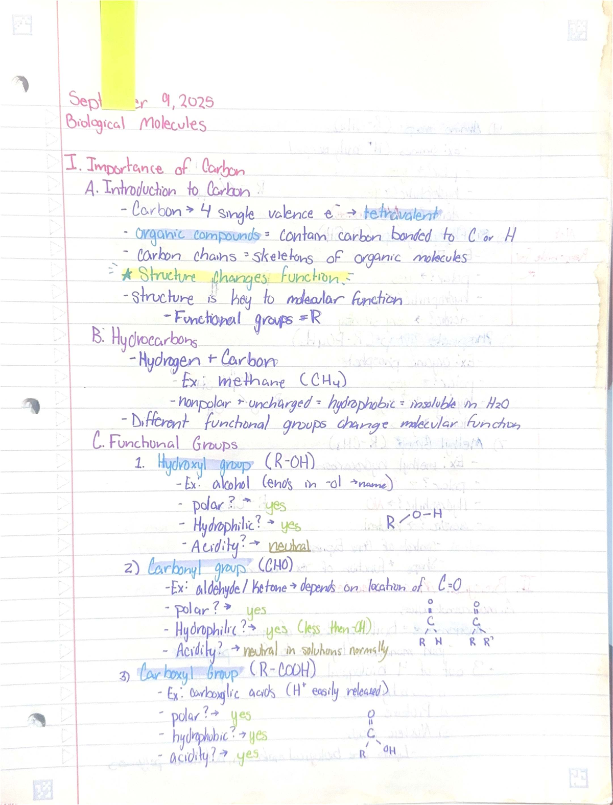 Biological Molecules I: Importance of Carbon - Lecture 3 Notes - Studocu