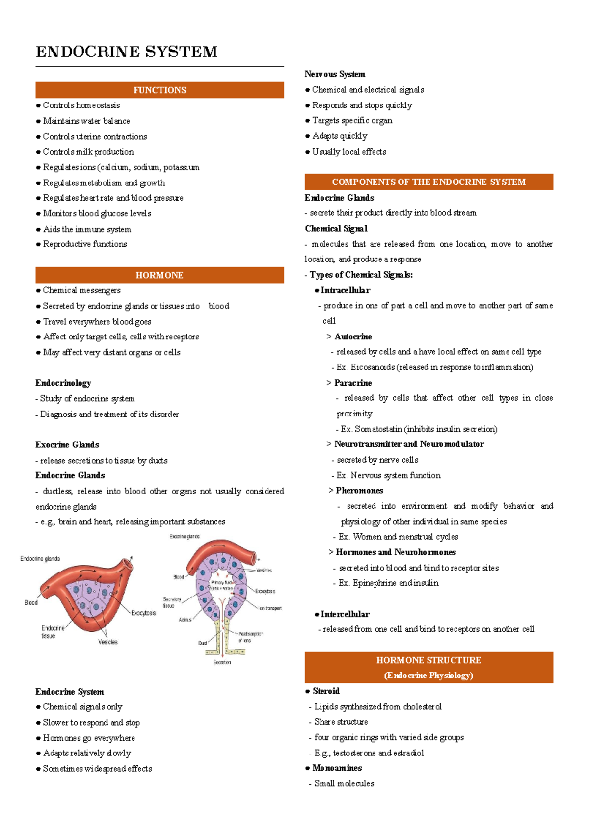 Endocrine System Overview - Functions, Hormones, and Glands - Studocu