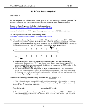 MCB 250 - Unit 4 miRNA Pathway - mi RNA Pathway 1. Drosha cuts into in nucleus ong 2. Dicer cuts ...