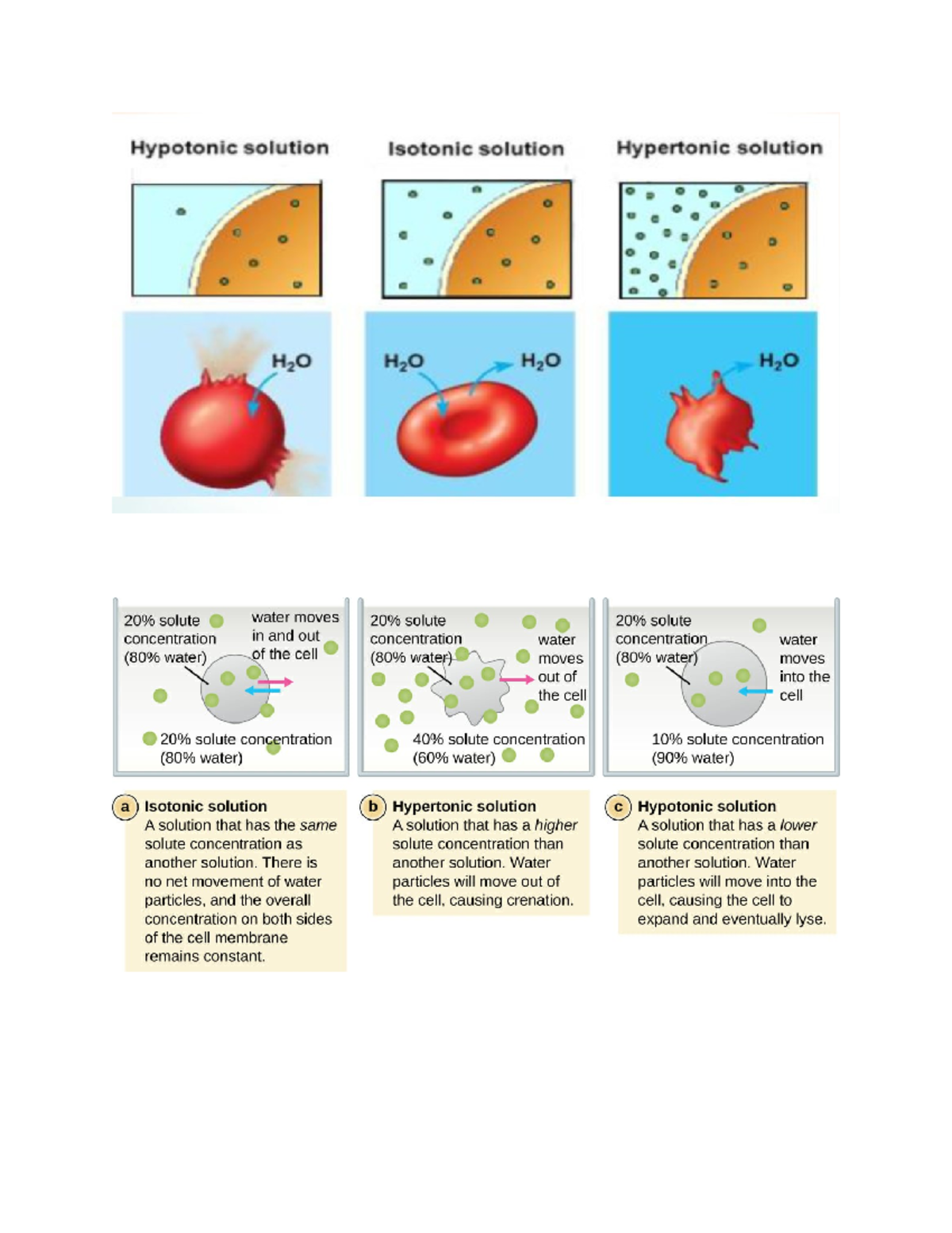 Iso, Hypo & hypertonic solution image - Hypotonic solution Isotonic ...