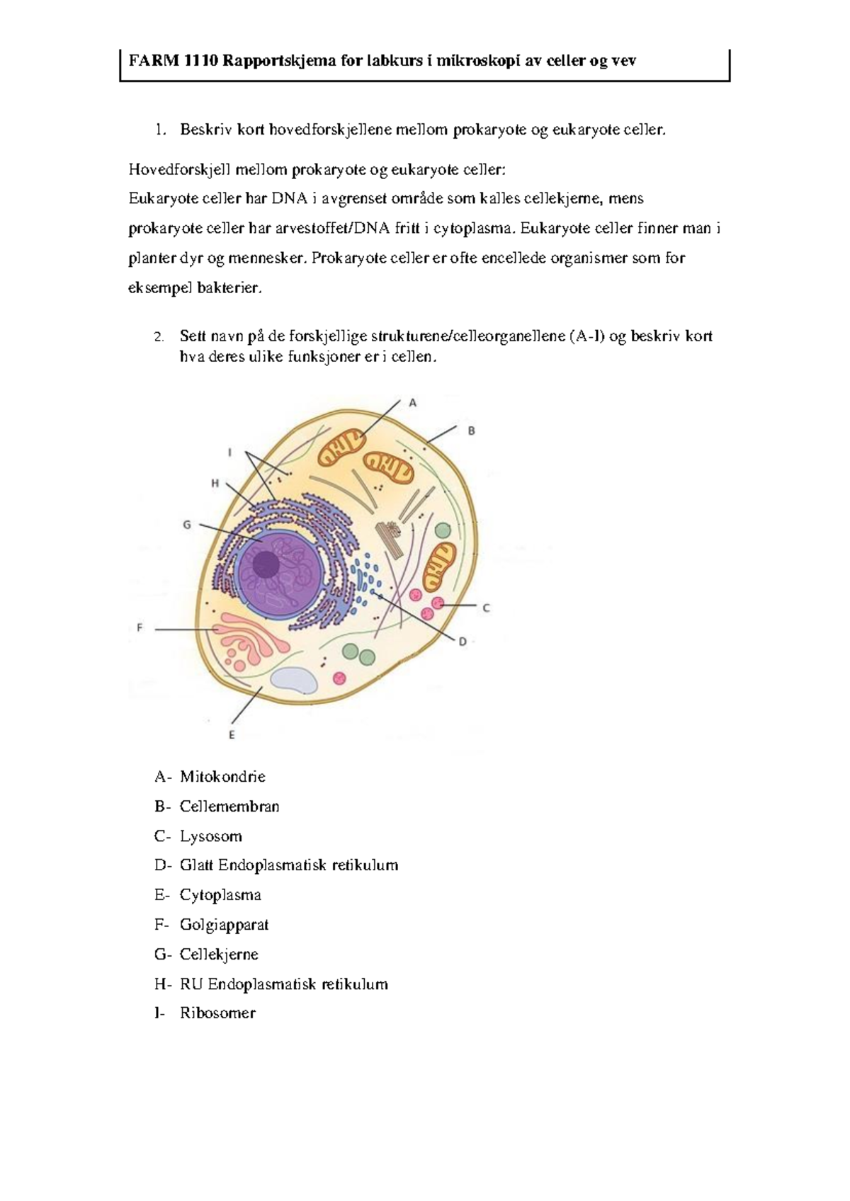 Labrapport FARM1110: Mikroskopi av Celler og Vev - Studocu