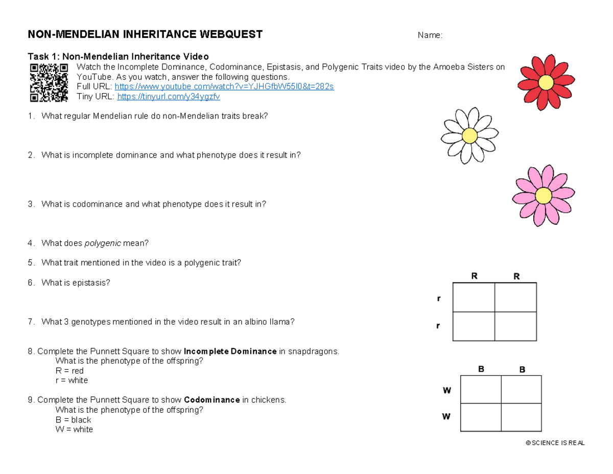 Non-Mendelian Inheritance Webquest: Tasks on Dominance & Traits - Studocu