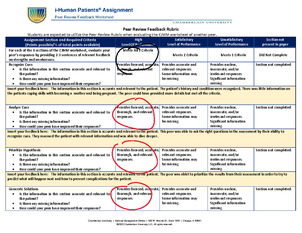 CJMM Peer Review Feedback Worksheet for i-Human Patients® Assignment ...