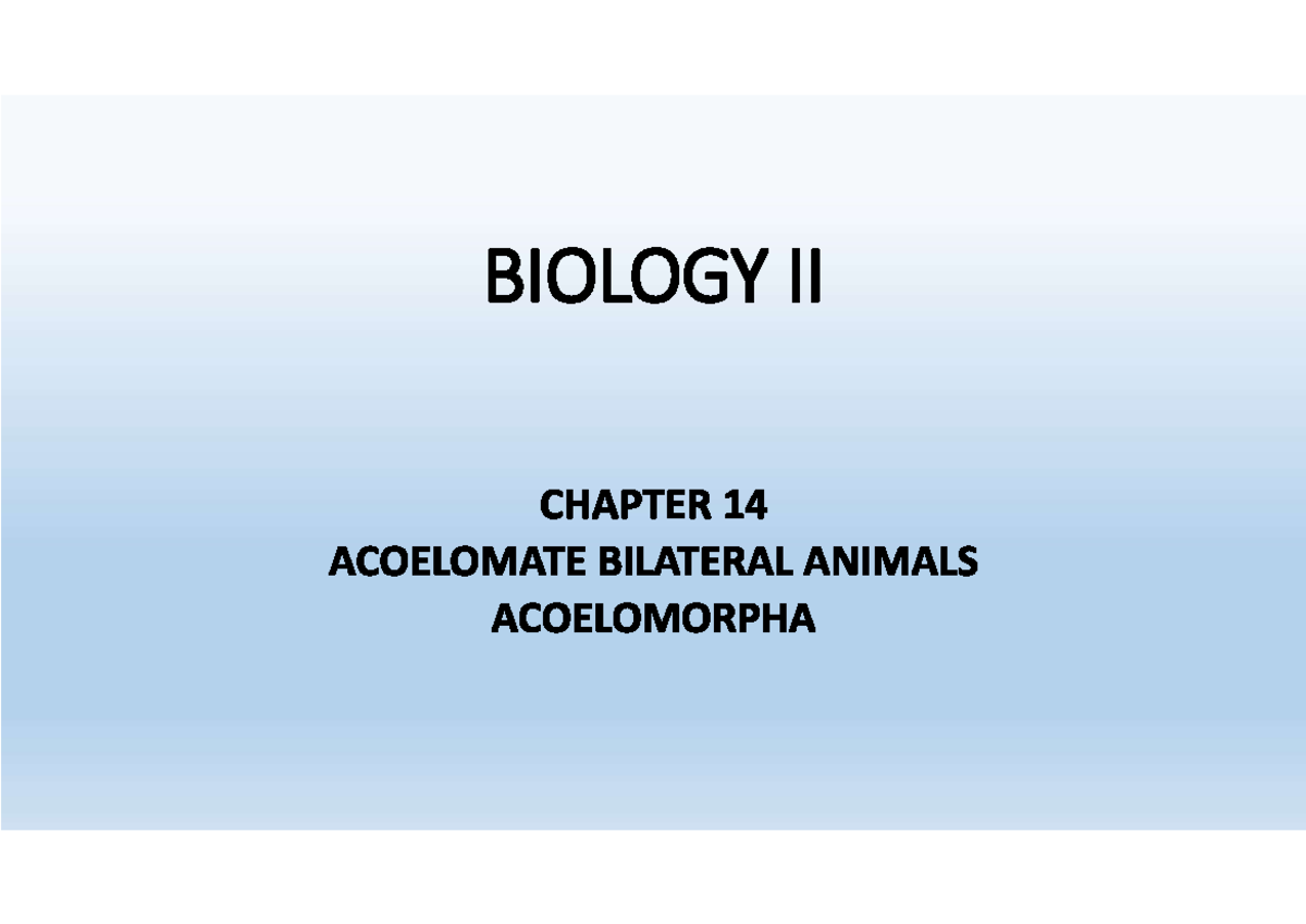BIOLOGY II LECTURE NOTES: Acoelomate Bilateral Animals (Chapter 14 ...