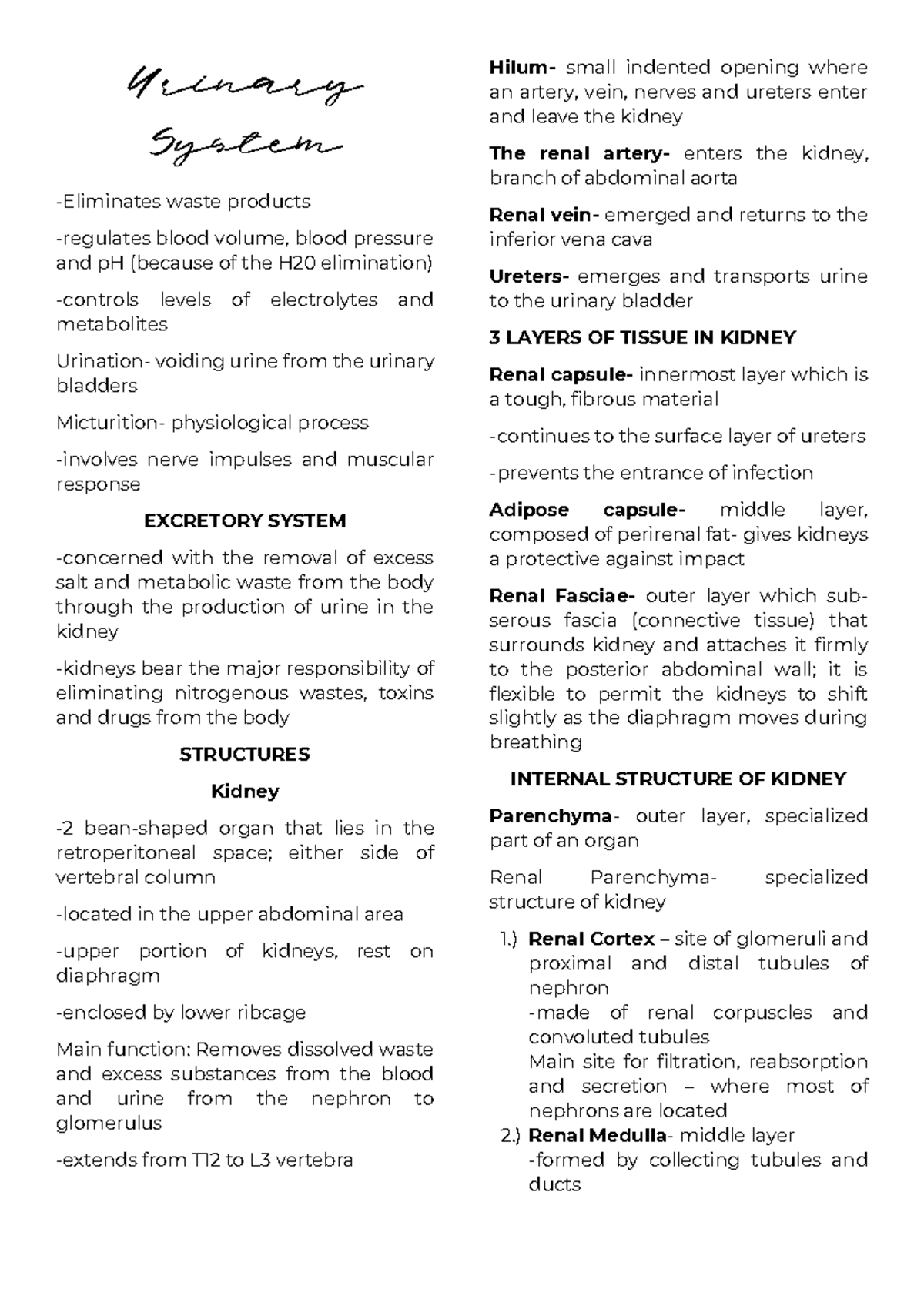 Urinary System Overview: Anatomy, Functions, and Processes - Studocu