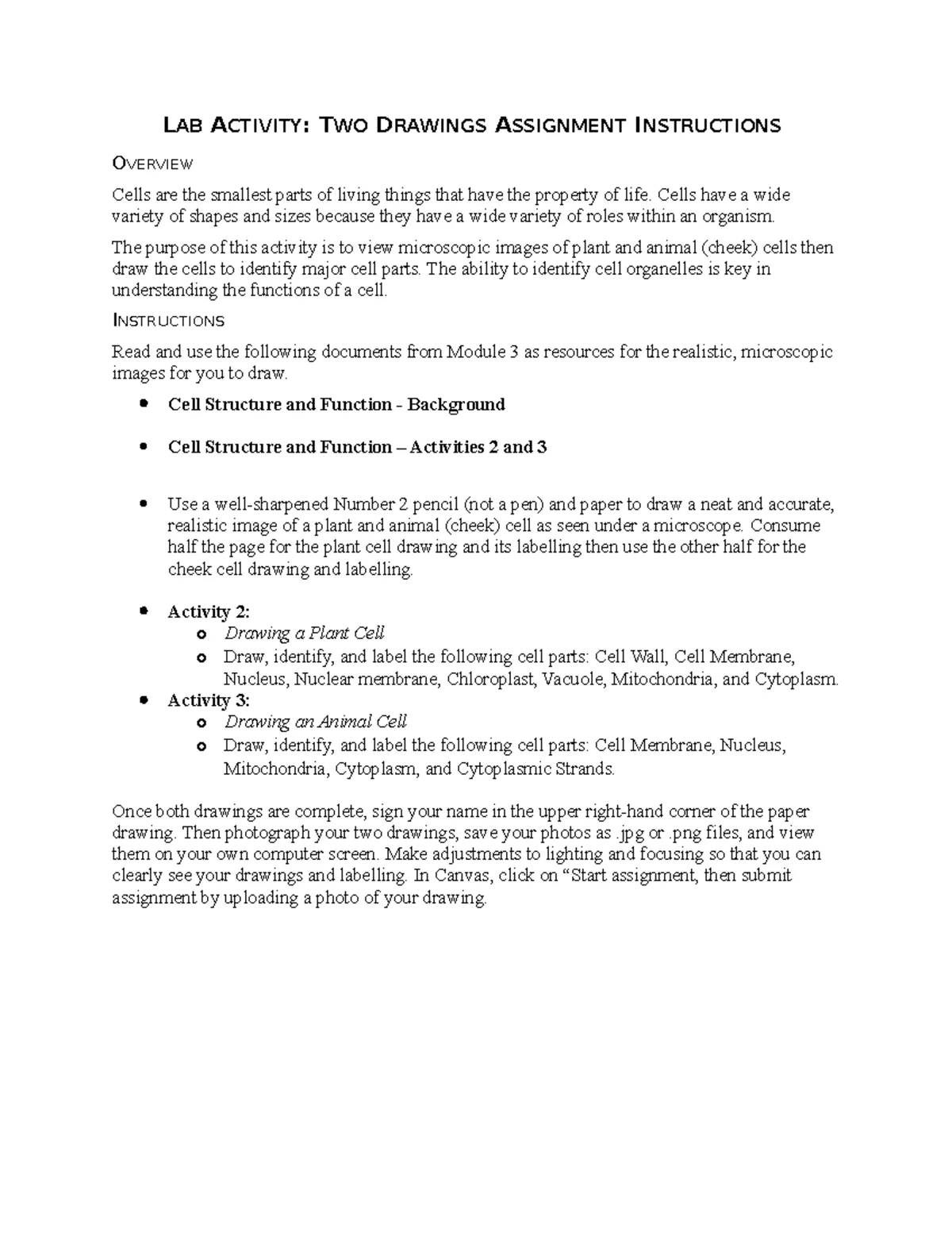 BIOL 103: Squid Dissection Photo Assignment Instructions - Studocu