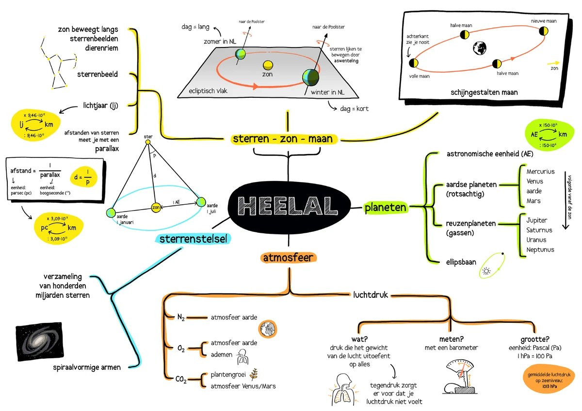 Tijd voor Geschiedenis: Steden, Burgers en Koningen in de Middeleeuwen - Studeersnel