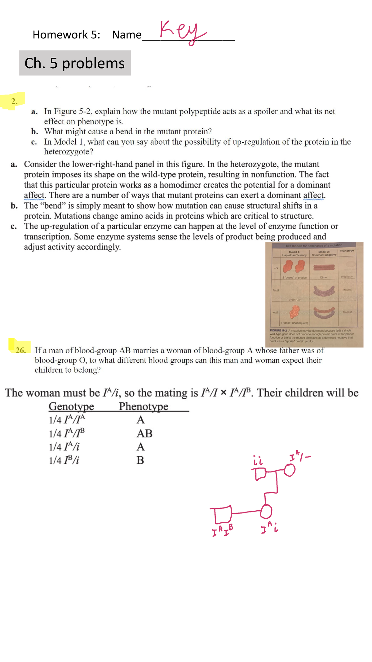 Textbook Problems Related to HW Set 5 + Key - Homework 5: Name Key Ch ...