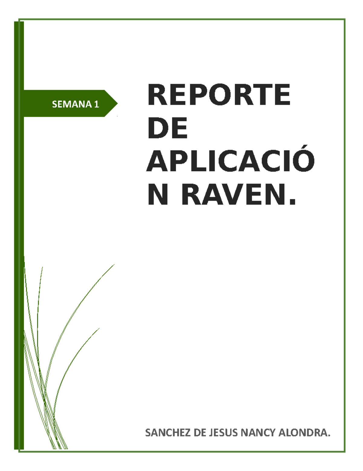 Raven Aplicacion - SEMANA 1 REPORTE DE APLICACIÓ N RAVEN. SANCHEZ DE ...