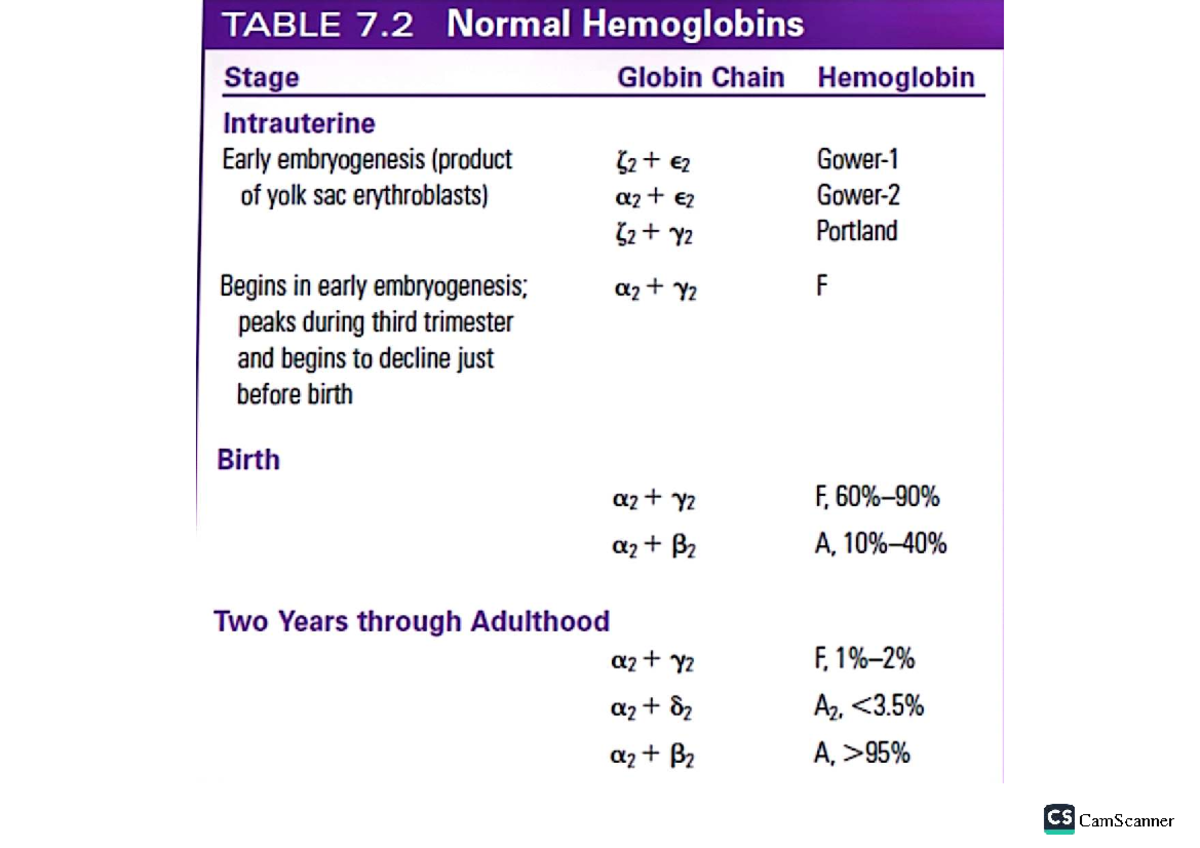 Hema PPT Tables: Chapter 6-16 Overview and Key Data - Studocu