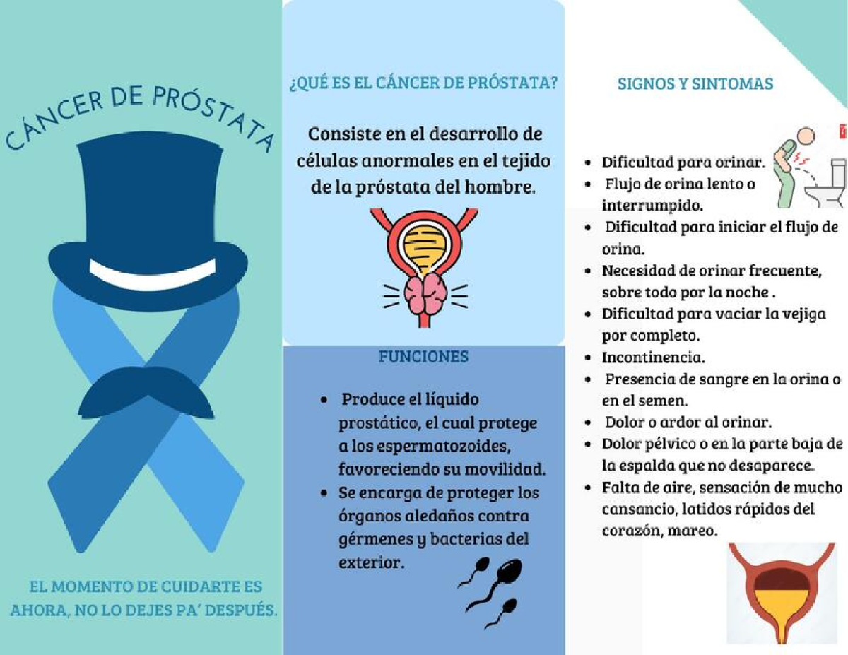 Tríptico de Salud: Cáncer de Próstata y Cérvix - Prevención y Síntomas ...