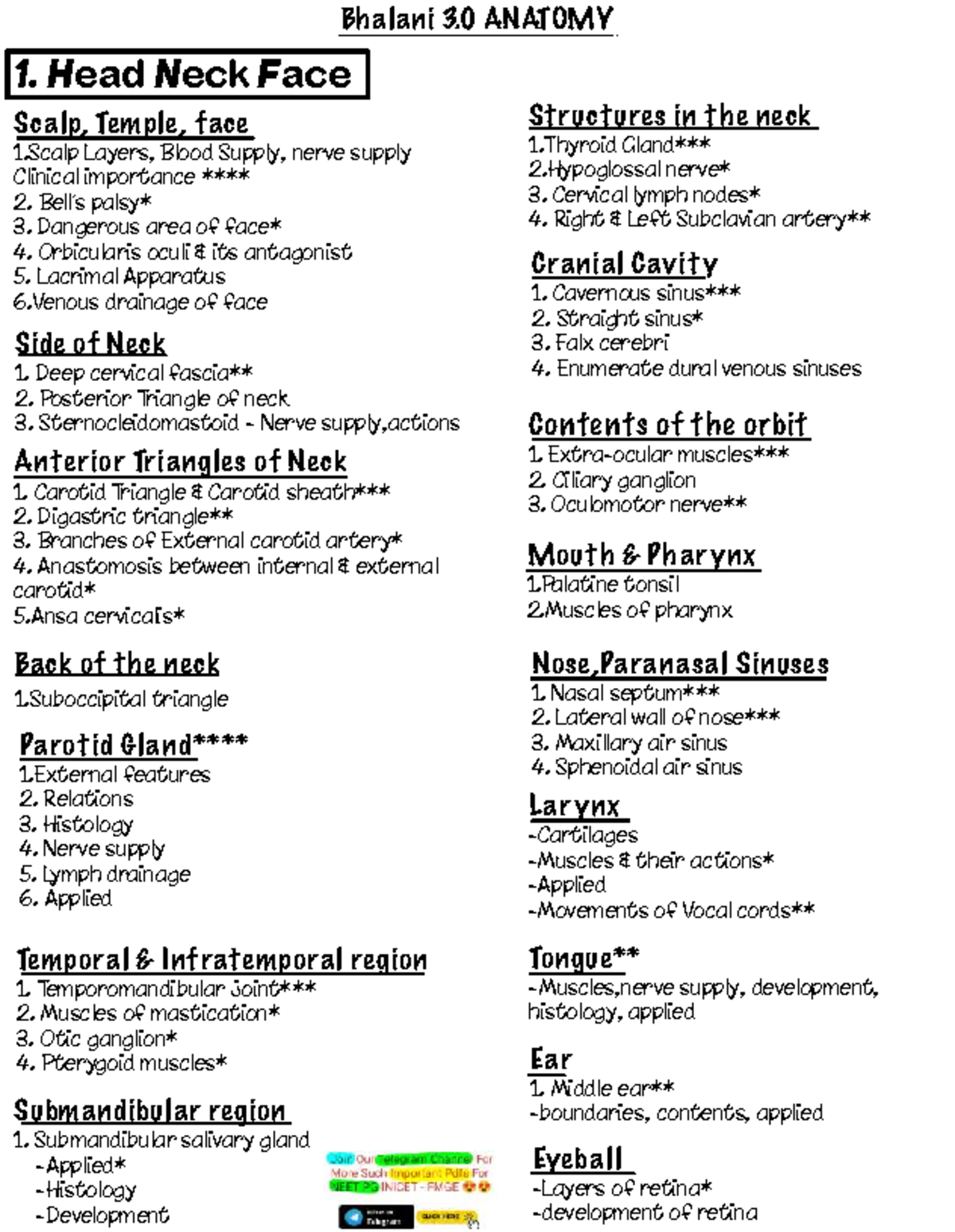 ANATOMY 1: Comprehensive Study of Head, Neck, and Face Structures - Studocu
