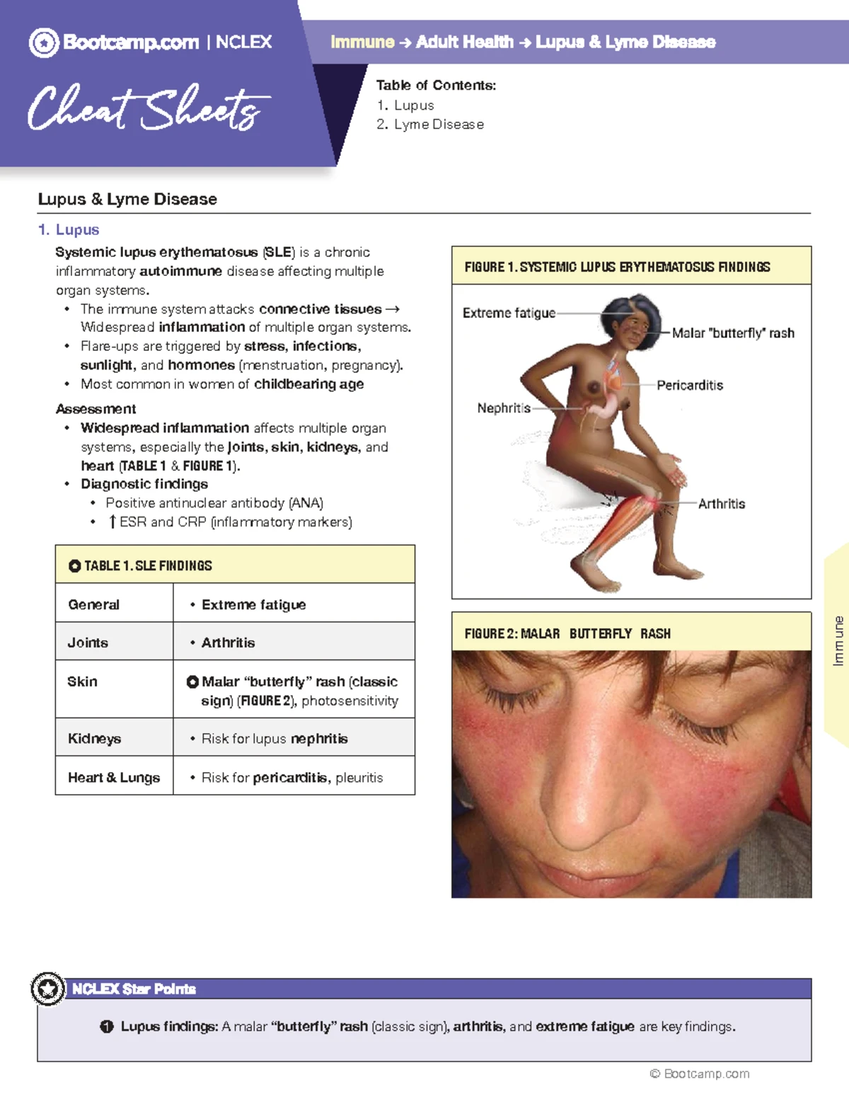 Lupus & Lyme Disease Cheat Sheet: Key Findings & Nursing Priorities ...
